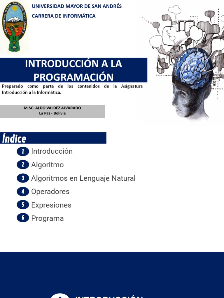 Introducción A La Programación | PDF | Algoritmos | Programa de computadora