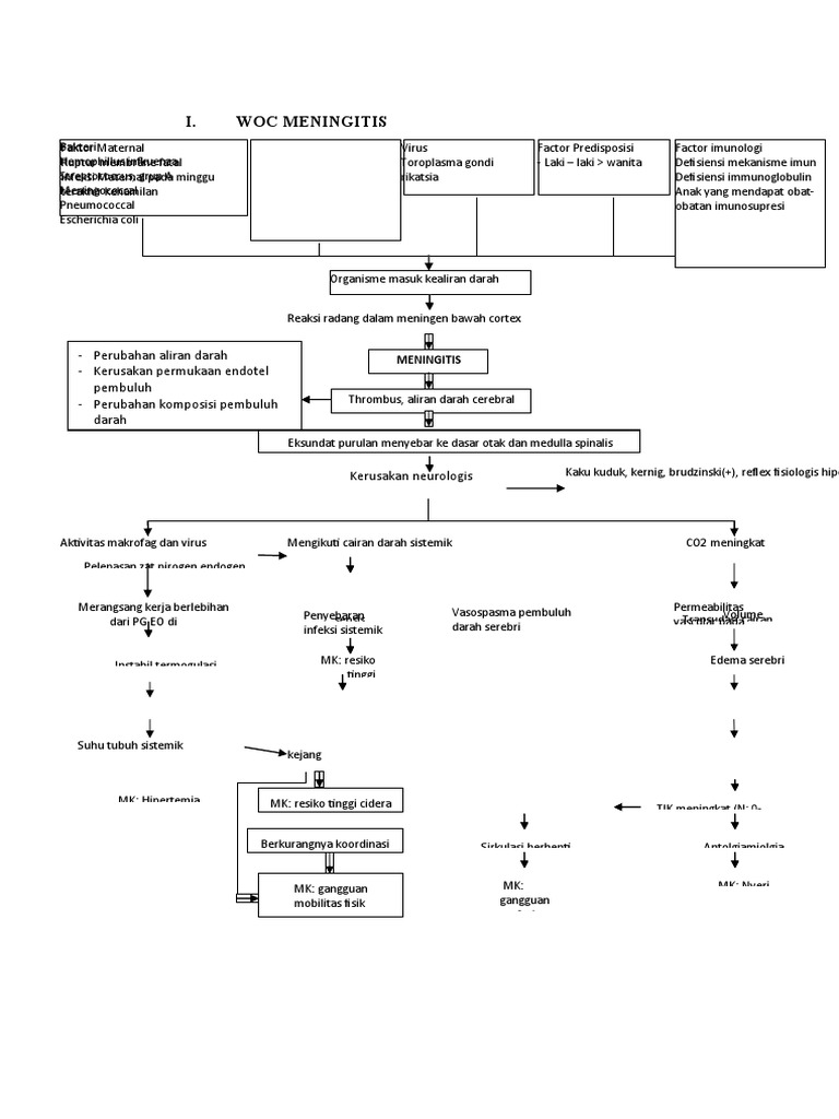 Toaz - Info Woc Meningitis | PDF