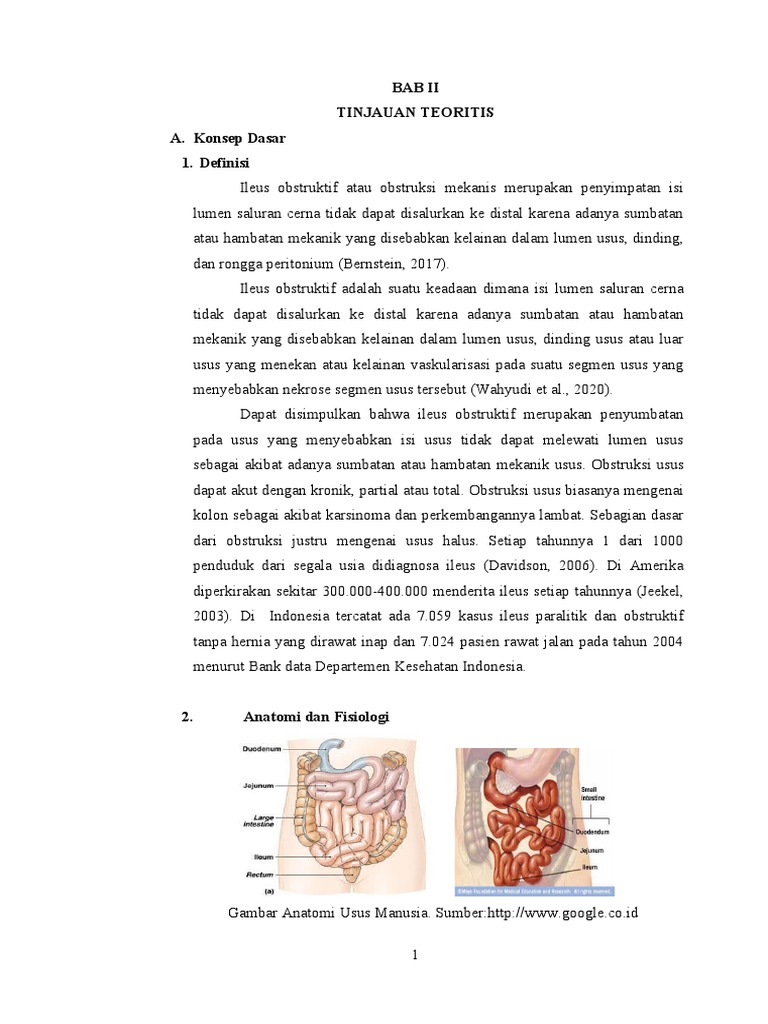 TEORI OBSTRUKSI USUS | PDF