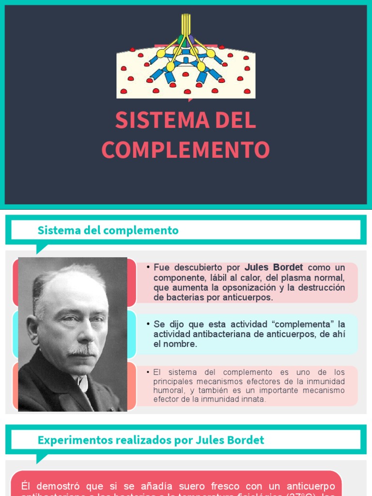 Sistema Del Complemento | PDF | Sistema complementario | Especialidades Medicas