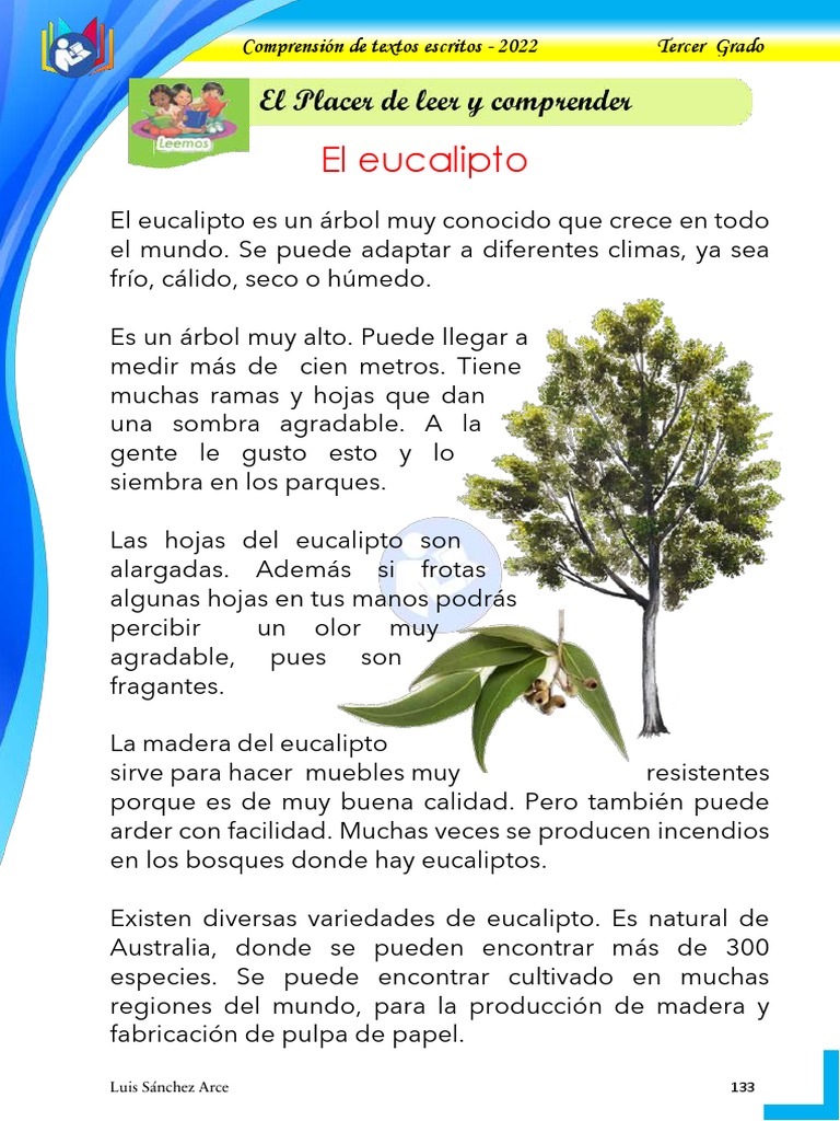 30 - El Eucalipto | PDF | Eucalipto | Arboles