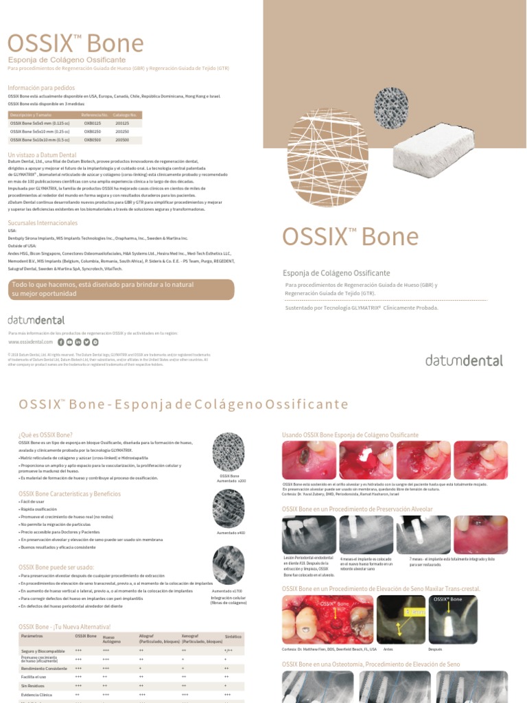 Ossix Bone Español | PDF | Anatomía