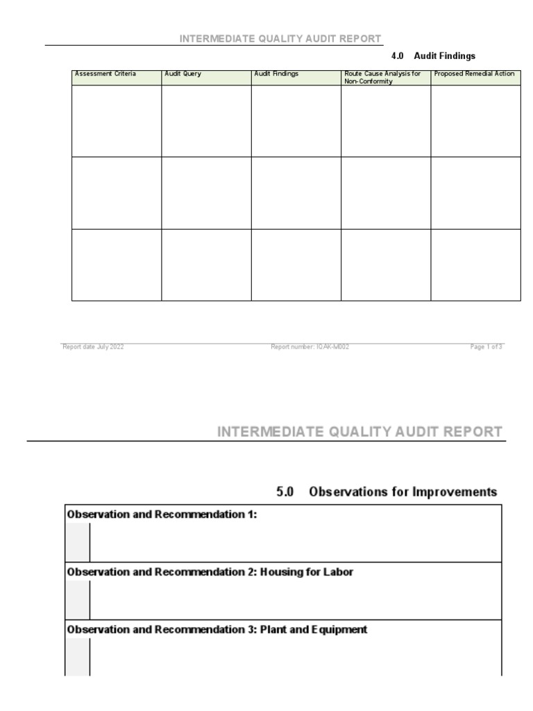 Audit Proforma | PDF
