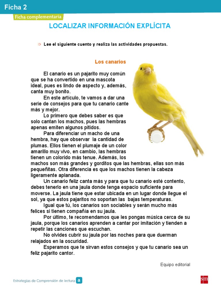 ComprensiondelecturaA - Ficha 2 | PDF | Aves
