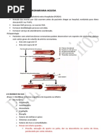 Acls Questões e Estudo para Prova | PDF | Cardiologia | Fisiologia