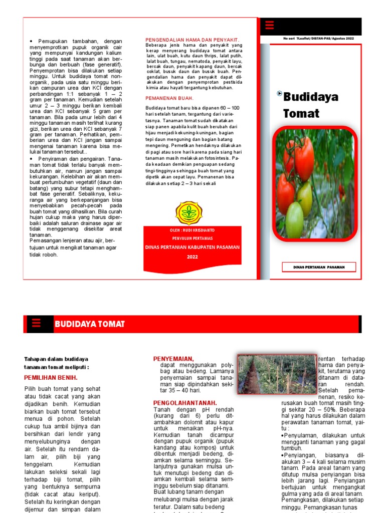 LEAFLET Budidaya Tomat | PDF