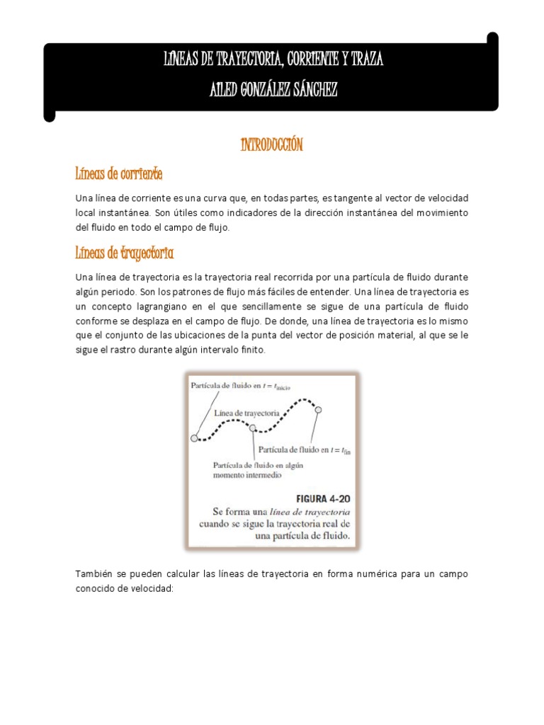 Cálculo de Líneas de Flujo en Fluidos | PDF | Velocidad | Matemáticas
