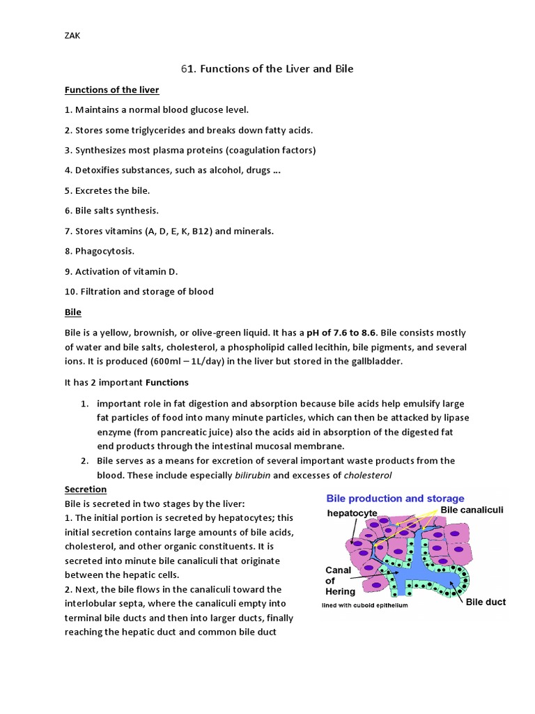61.functions of The Liver and Bile | Download Free PDF | Bile | Liver