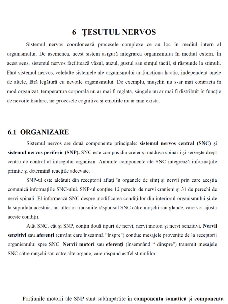 Tesutul Nervos | PDF