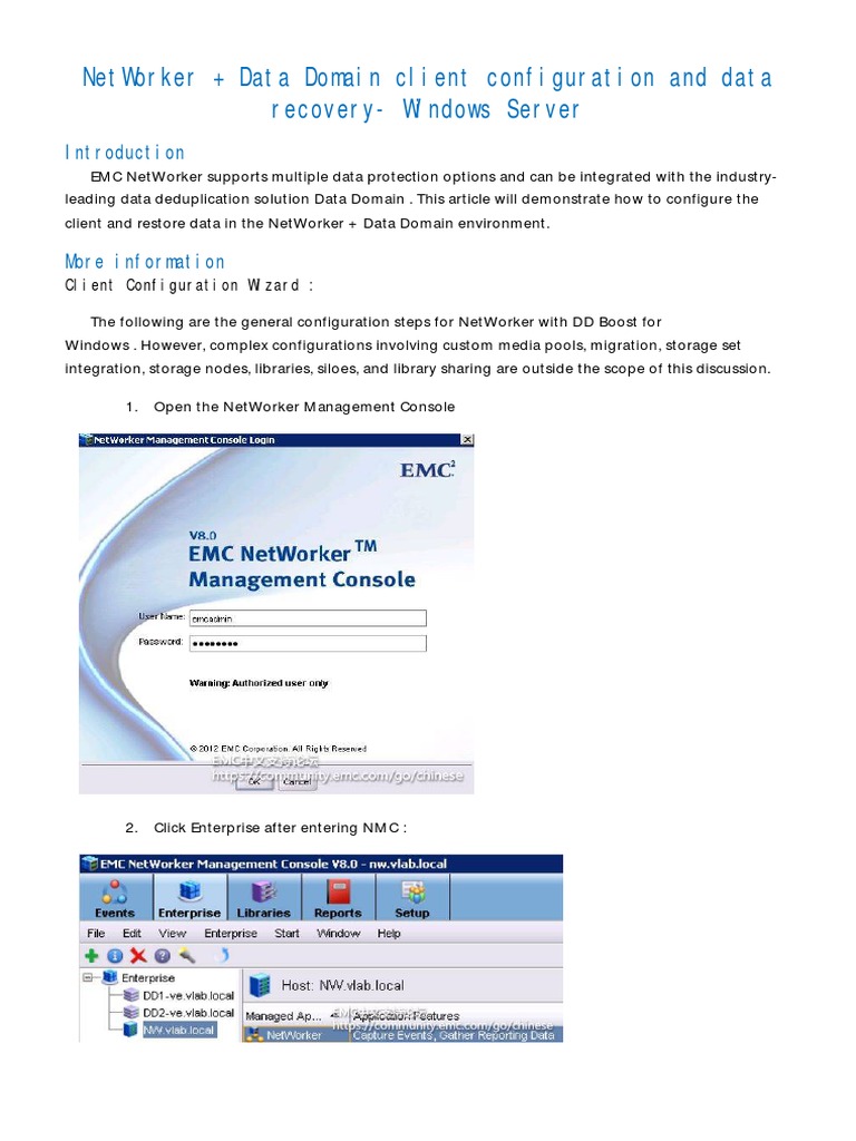 Data Domain Client Backup | PDF | Backup | Microsoft Windows