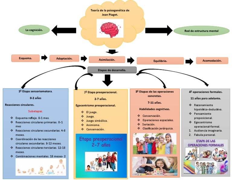 Mapa Mental de La Teoria Psicogenetica de Jean Piaget . | Descargar ...