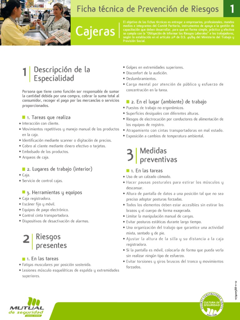 Ficha Tecnica Cajeras (Mutual) | PDF
