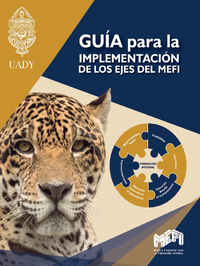 Guía ejes MEFI | PDF | Maestros | Evaluación
