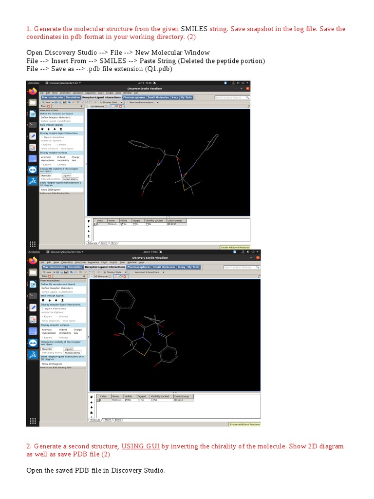 Ligand Generation Using Discovery Studio and Then Mutating It | PDF