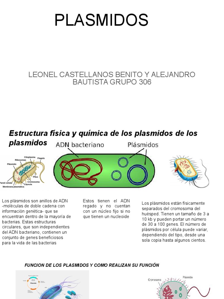 Proyecto Biología Leónel y Alegro 306 Cobach 11 | PDF | Plásmido | Las bacterias