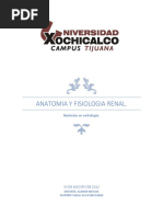 Proceso de Atención de Enfermería (PAE) Libro | PDF | Examen físico ...