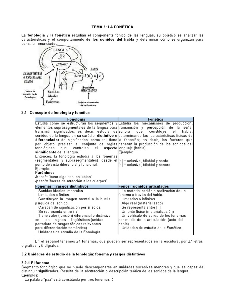 Fonetica 3 | PDF | Fonética | Oído