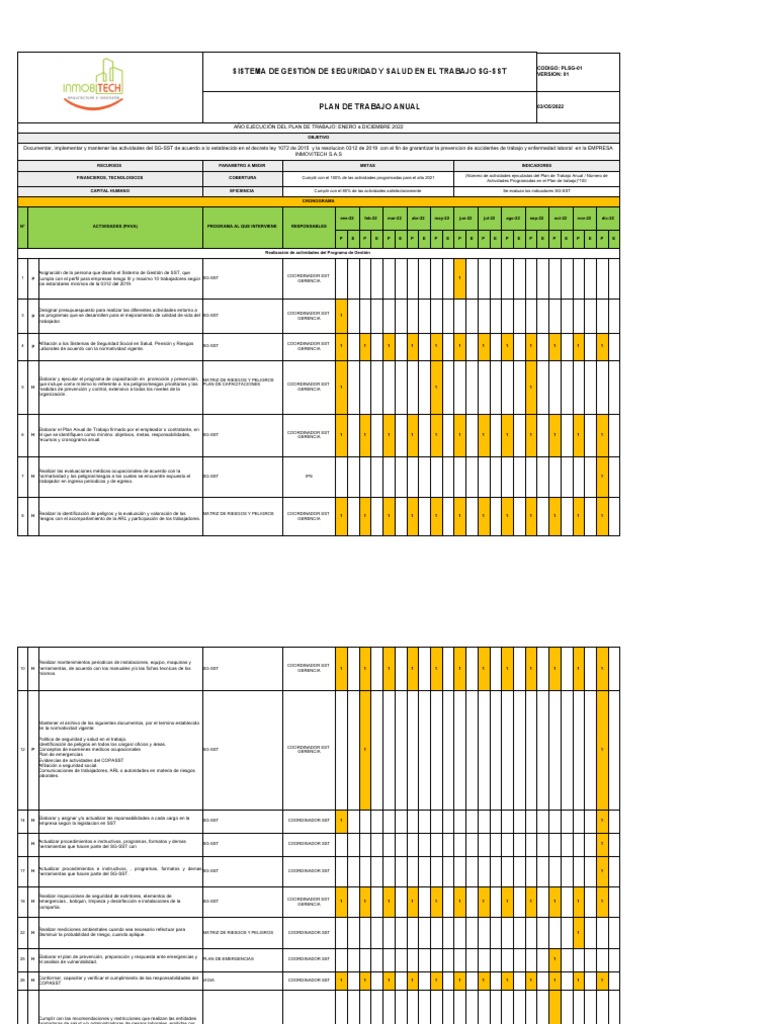 PLSG-01 Plan de Trabajo Anual | PDF | Ciencias de la Salud