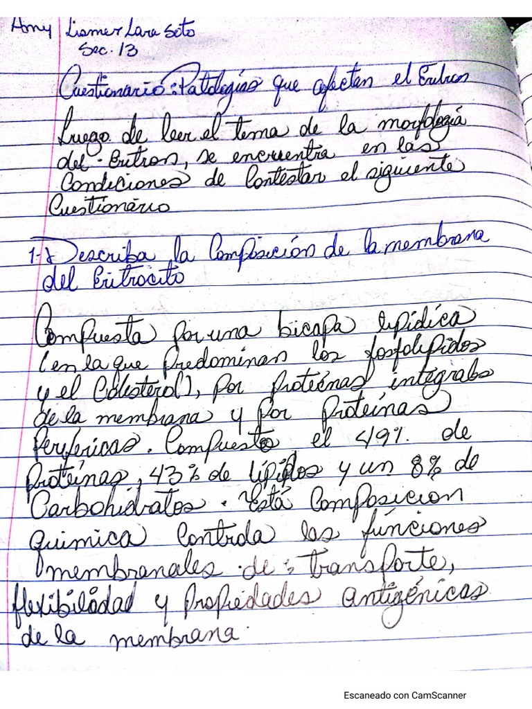 Patologías Que Afectan El Eritron | PDF