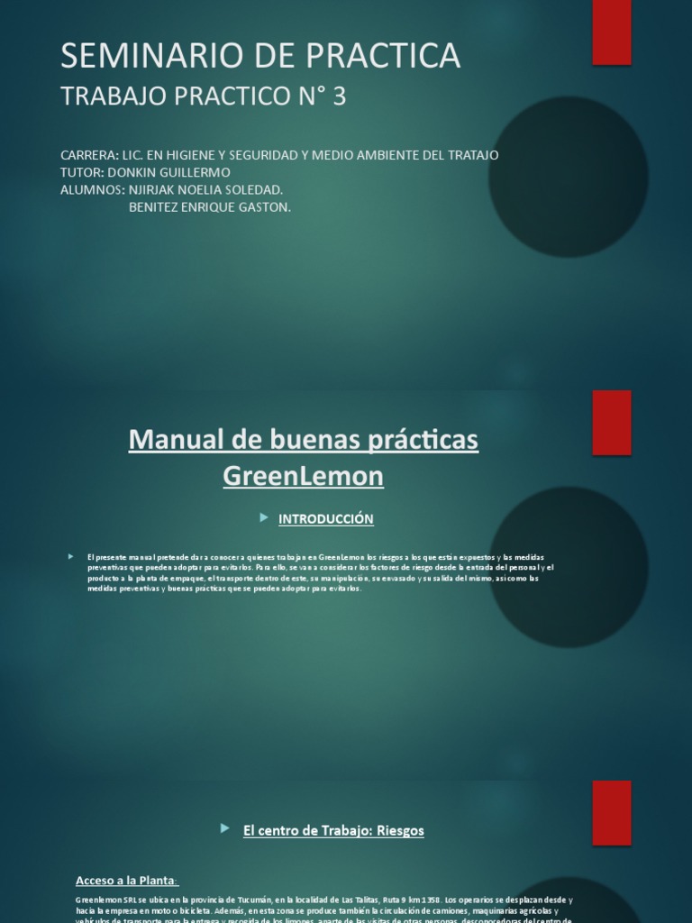 Trabajo Práctico N°3 | PDF | Rodilla | Músculo esquelético