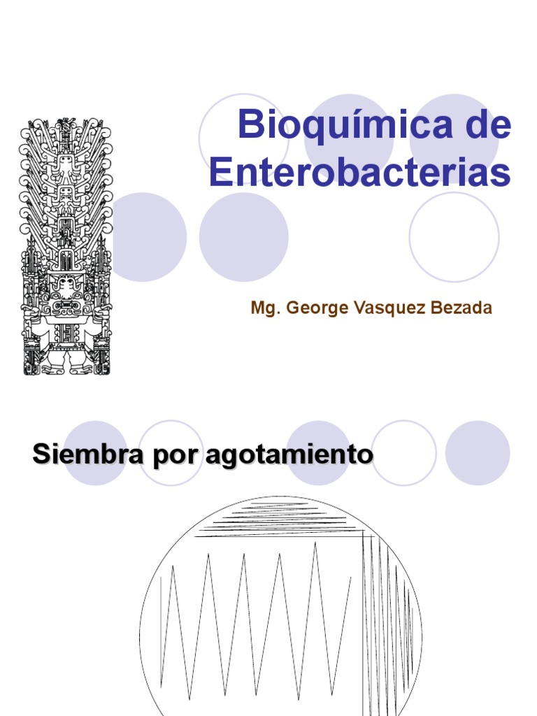 Pruebas Bioquimicas | PDF | Las bacterias | Química