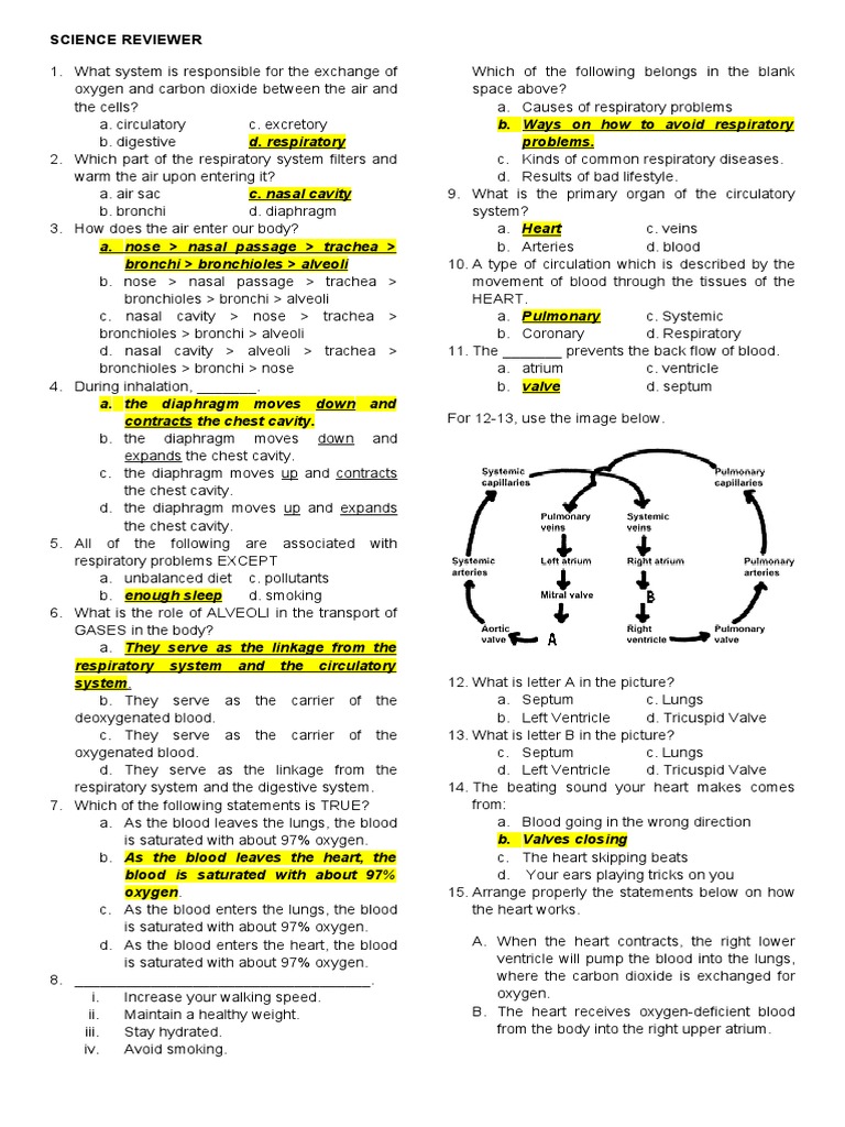 Science Grade 9 First Quarter Reviewers | PDF | Respiratory System | Dominance (Genetics)
