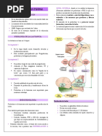 Estadios de Tanner | PDF | Etapas de la vida humana | Sexo