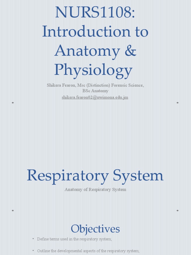 NURS1108 Lecture 14 - Respiratory System PART 1 of 2 | PDF | Lung ...