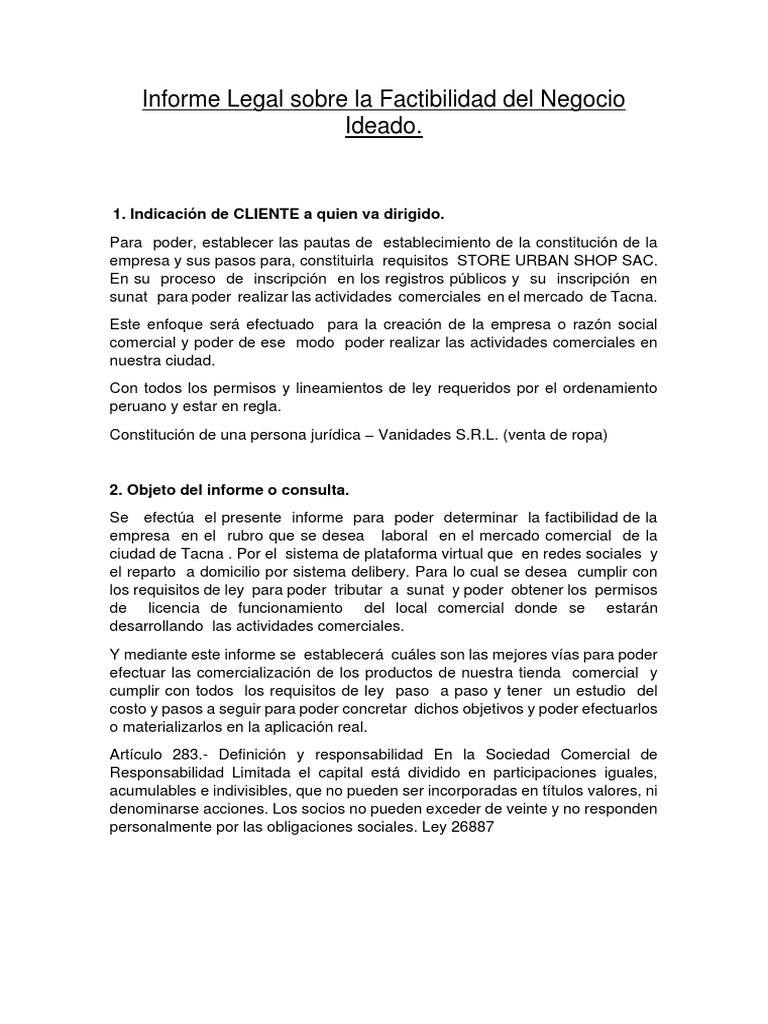 Informe Comercial | PDF | Marketing | Producto (Negocio)