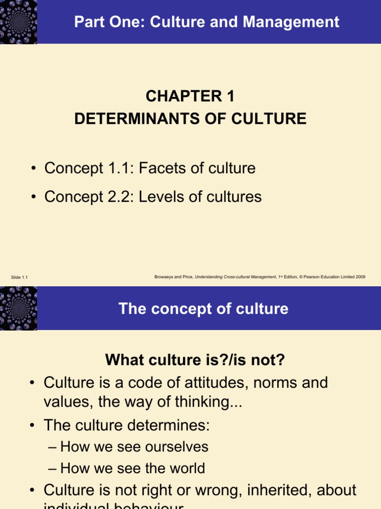 Manajemen Lintas Budaya Chap01 | PDF | Organizational Culture | Behavioural Sciences