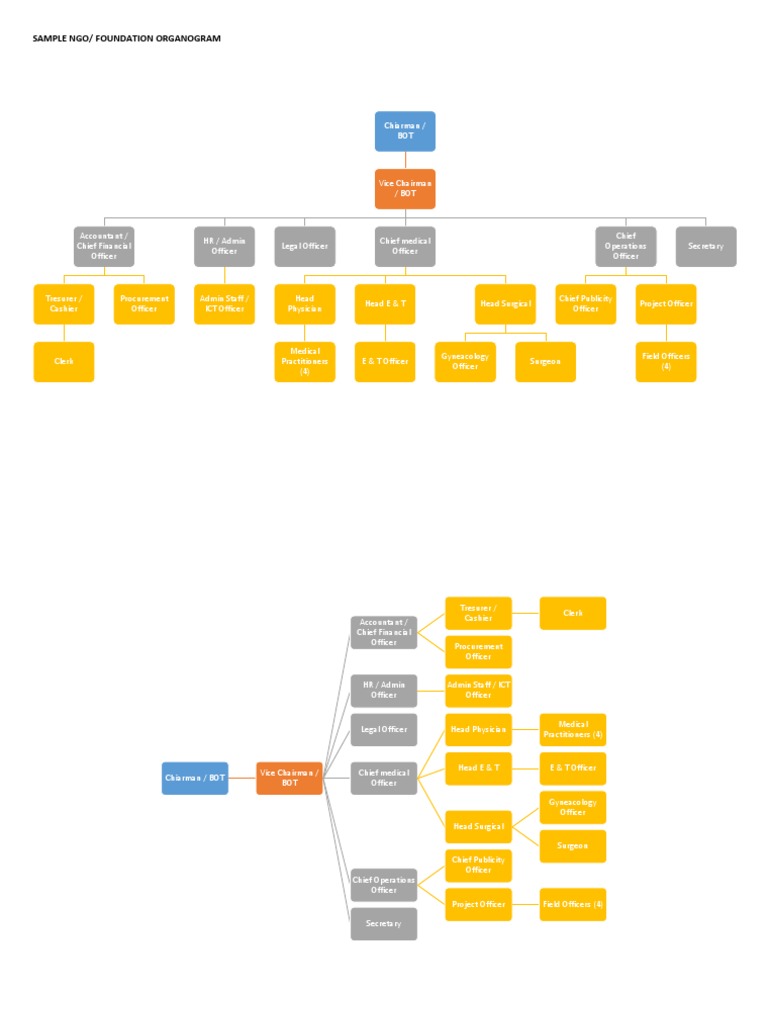 Sample NGO Organizational Structure | PDF | Gynaecology | Physician