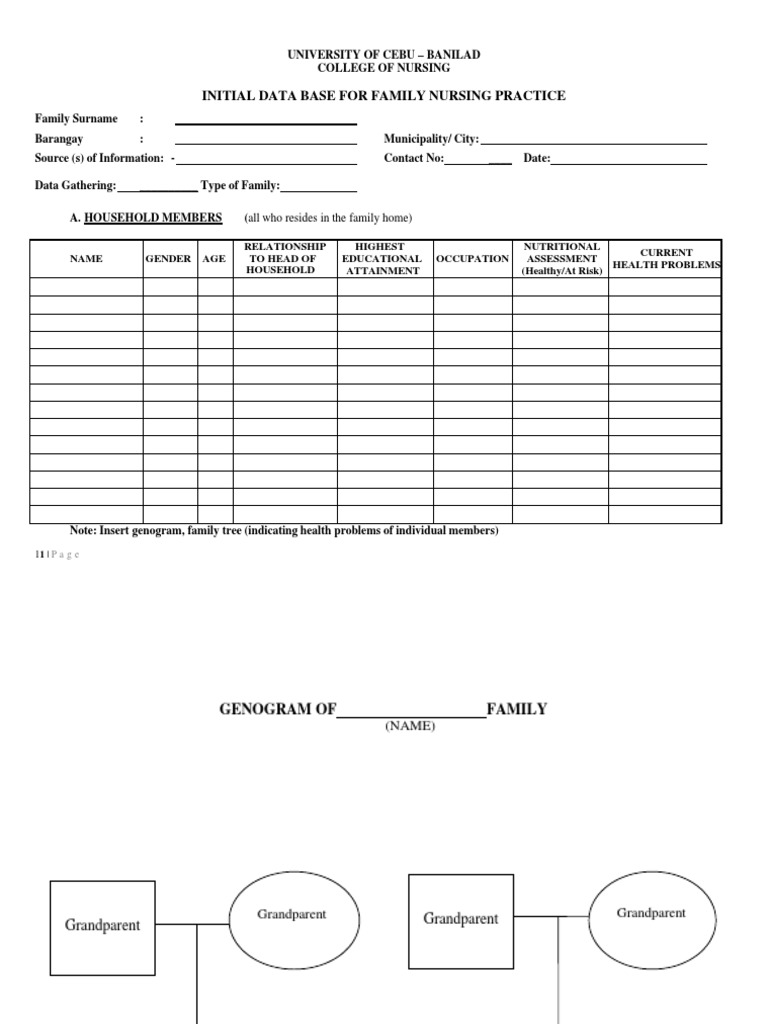 Initial Data Base Form Revised | PDF | Public Health | Health Sciences