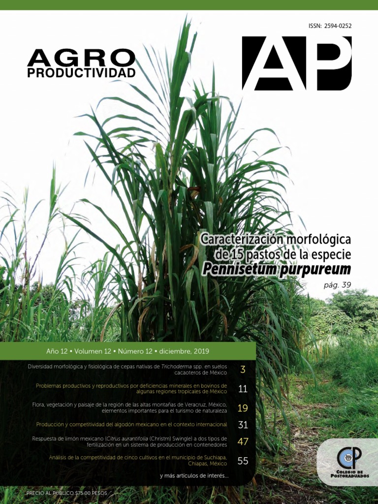 114 162 PB | PDF | Sumario abstracto) | Citación