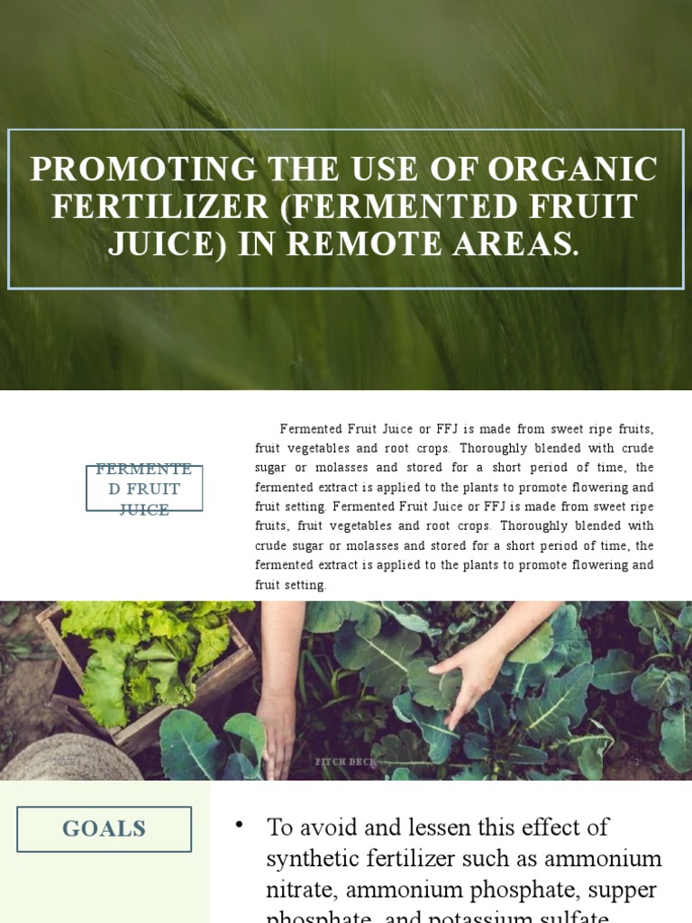 Promoting The Use of Organic Fertilizer Fermented | PDF