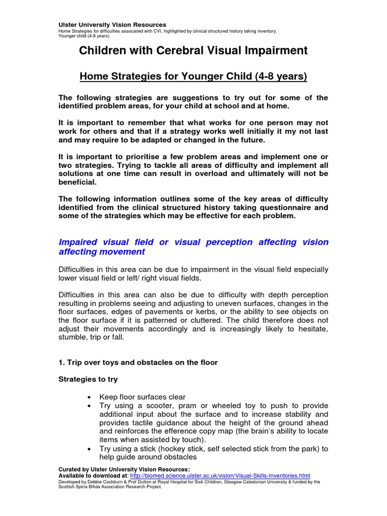 Cvi Strategies at Home 4 8yrs | PDF | Attention | Clothing