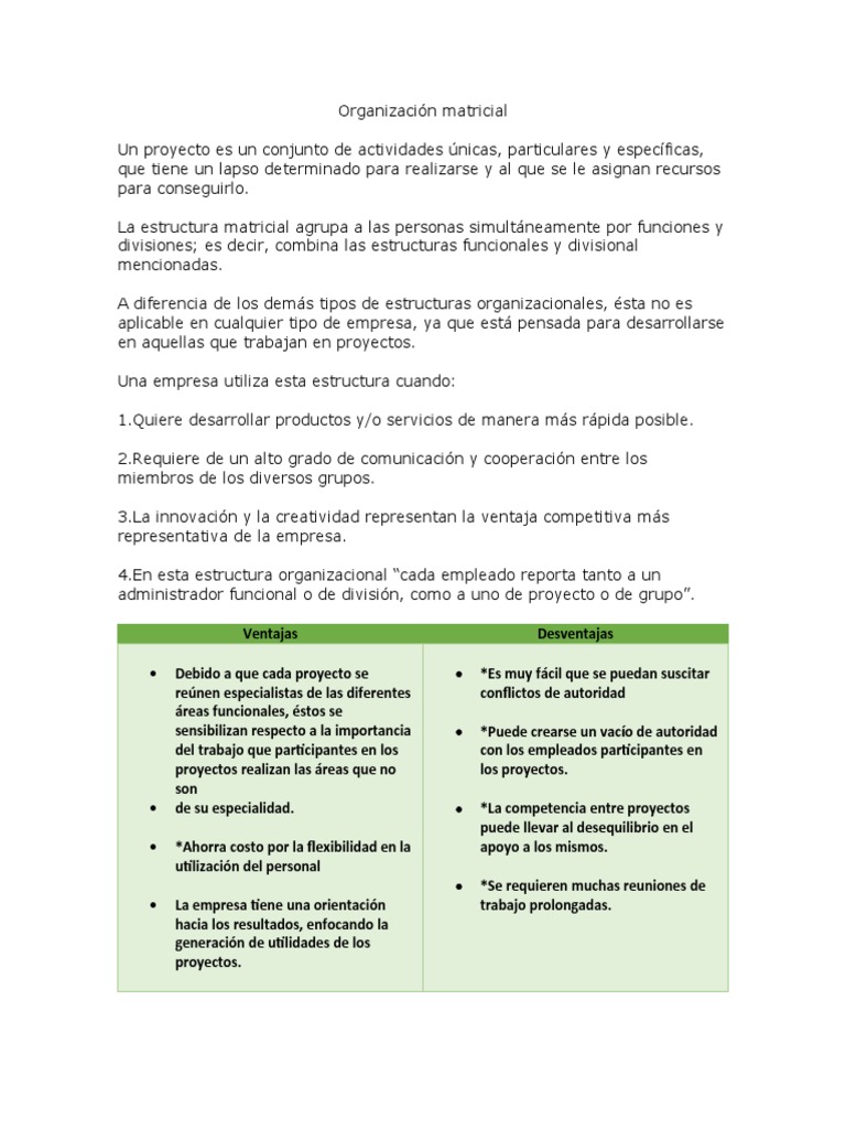 Estructura y Ventajas de la Organización Matricial | PDF | Business ...