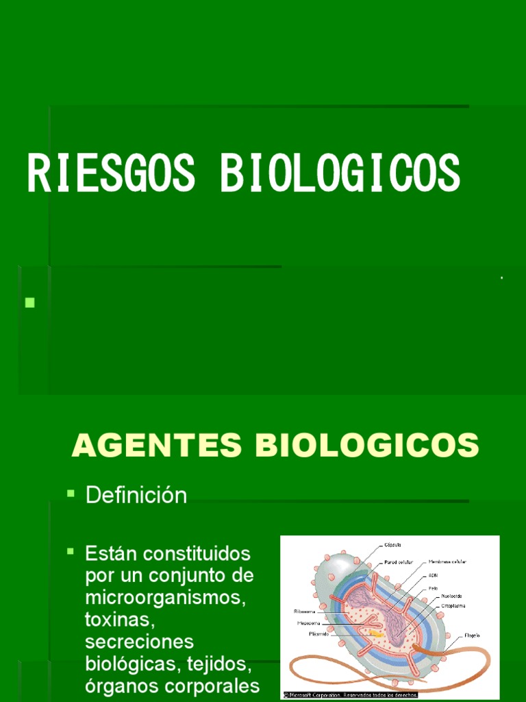 Riesgos Biologicos Prev Riesgos | PDF | Infección | Agua