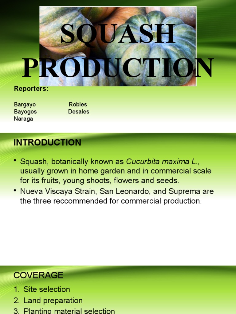 SQUASH PRODUCTION Seminar A | PDF | Cucurbita | Pollination