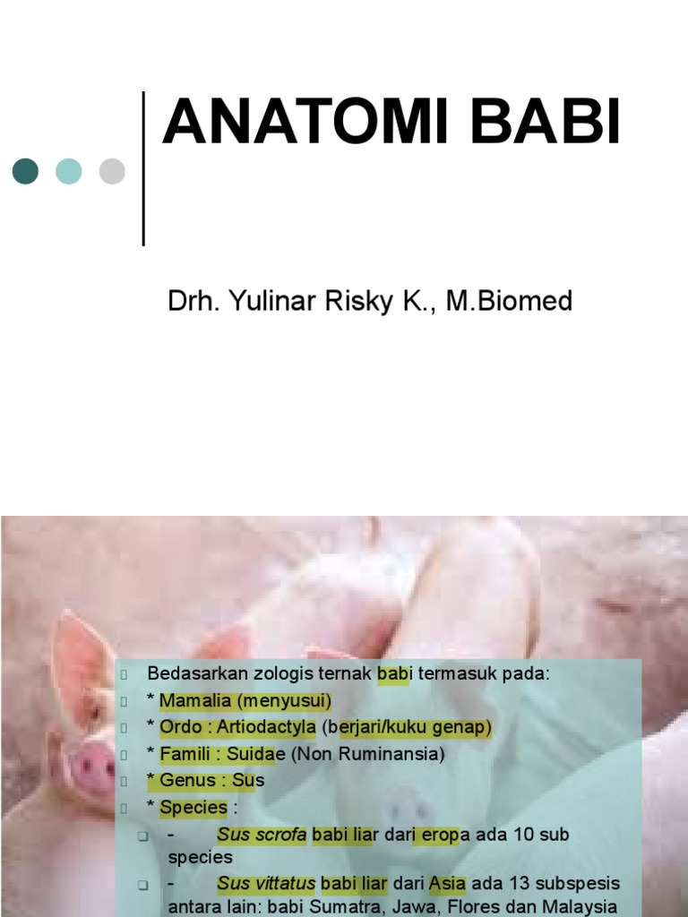 Babi Anvet 3-1 | PDF | Kajian Bahasa Asing | Kesehatan Holistik