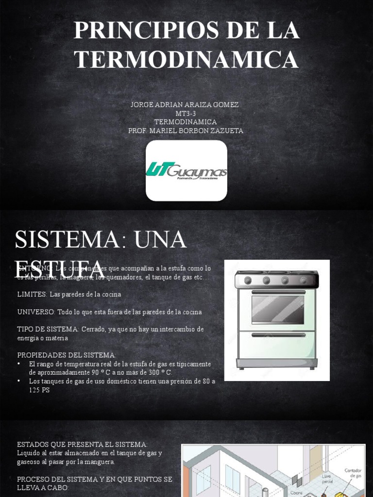 Principios de La Termodinamica | PDF