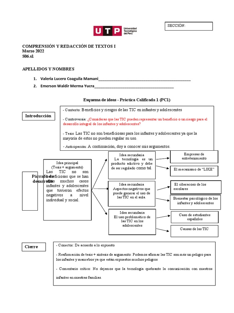 S06.s1-Esquema de Ideas para La PC1 - Marzo 2022-r | PDF