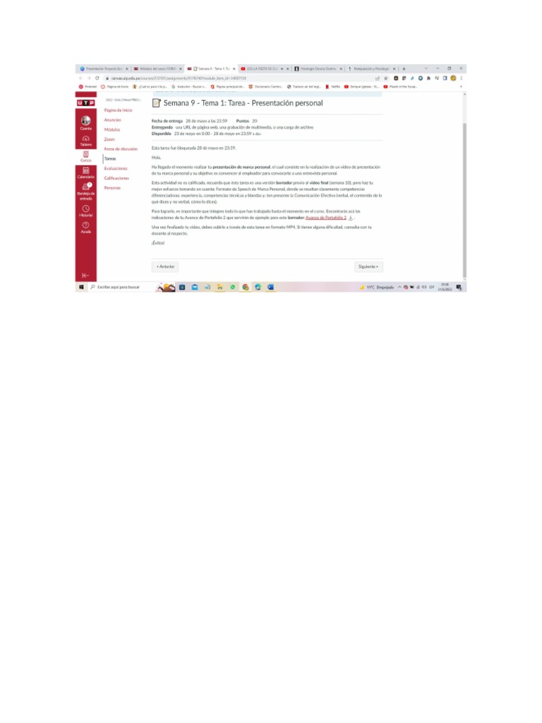 Semana 9 Tema 1 Tarea Presentación personal | PDF