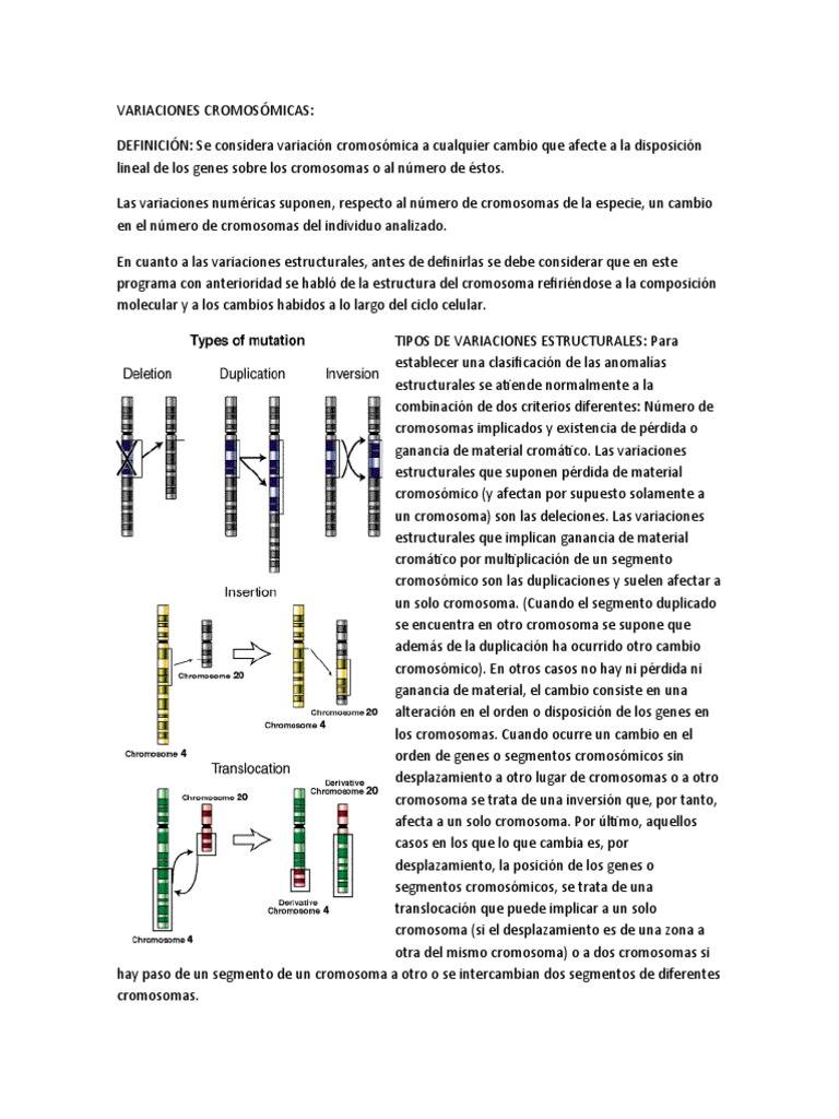 Variaciones Cromosomicas. Genetica. | PDF | Cromosoma | Deleción (Genética)