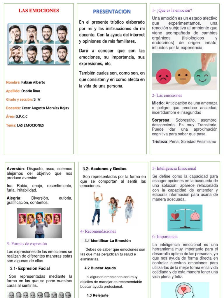 Triptico | PDF | Las emociones | Ira