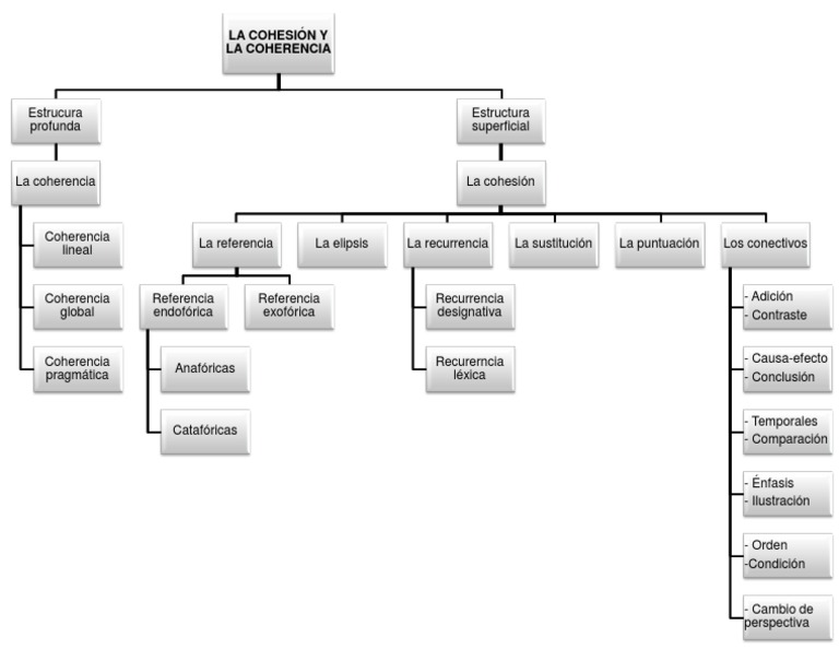 Mapa Conceptual Cohesion y Coherencia | PDF
