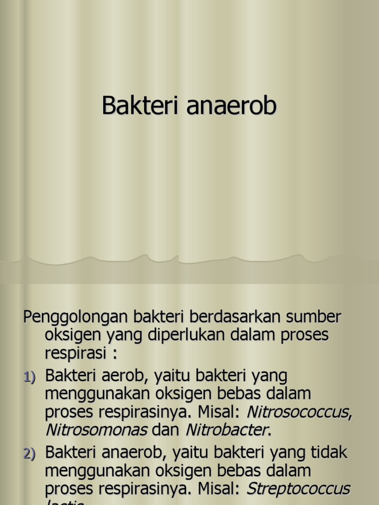 Bakteri Anaerob | PDF