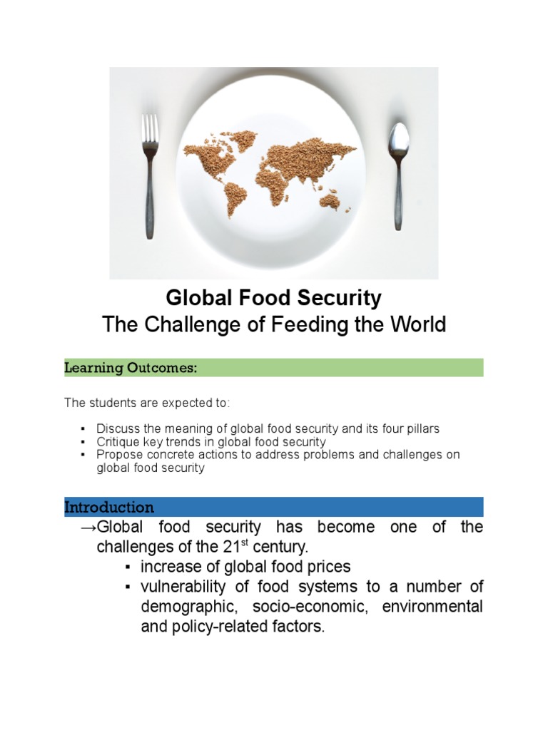 Global Food Security | PDF | Food Security | Biofuel