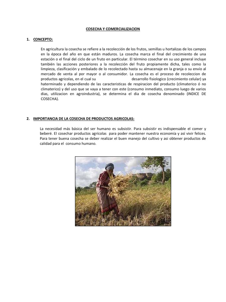 Cosecha y Comercializacion | PDF | Cartón | Cosecha