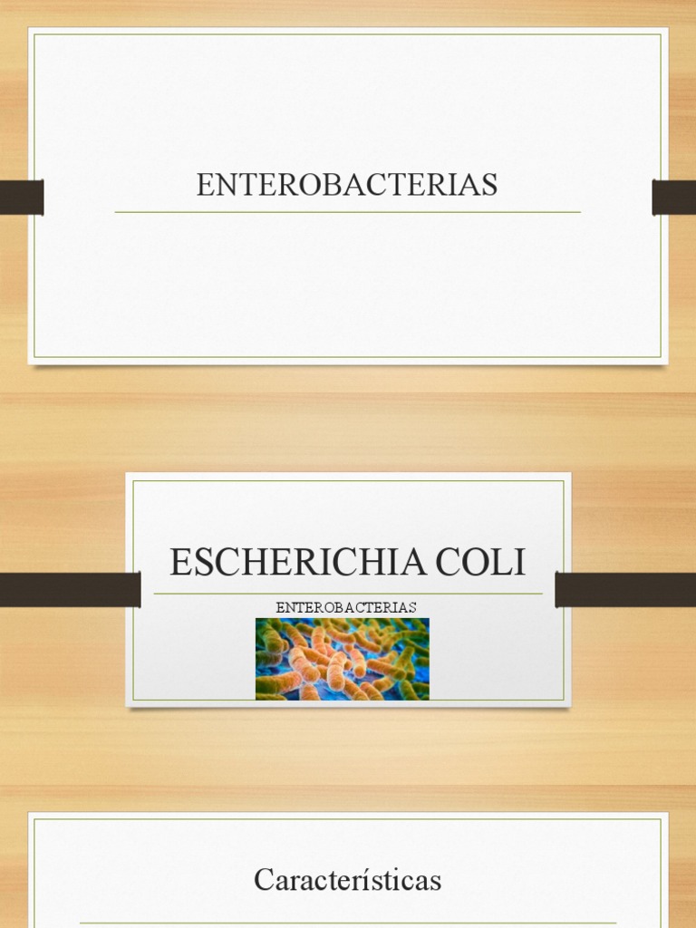 Enterobacterias | PDF | Escherichia coli | Salmonela