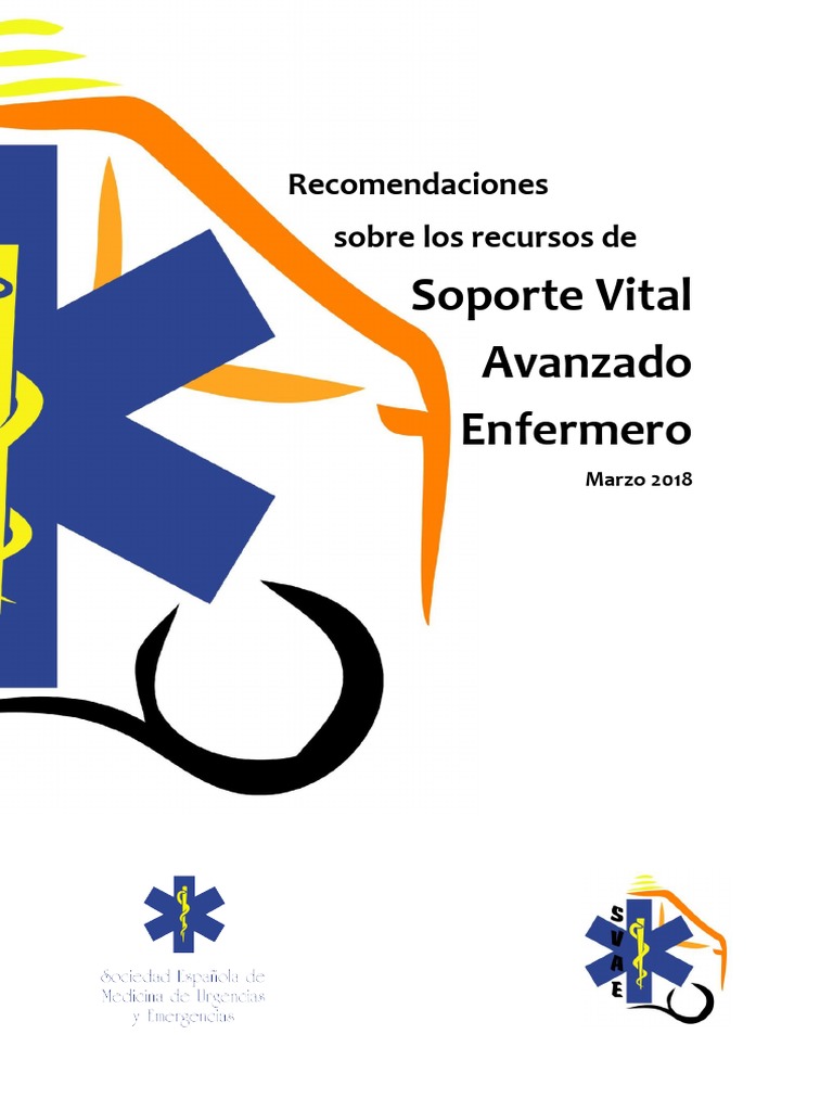 Recomendaciones SVAE | PDF | Enfermería | Emergencias Médicas